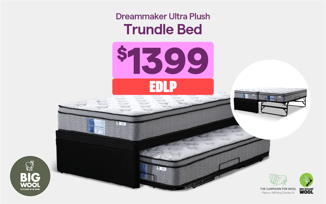 Big Save: NZ’s Best Value Furniture, Beds and Whiteware